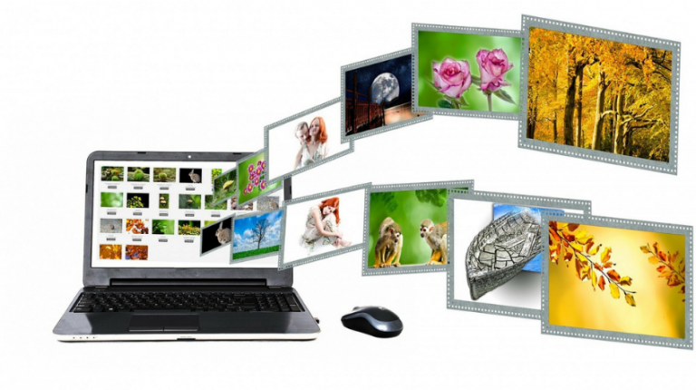 Unleash Your Vision: A Guide for Creating an Internet Portal