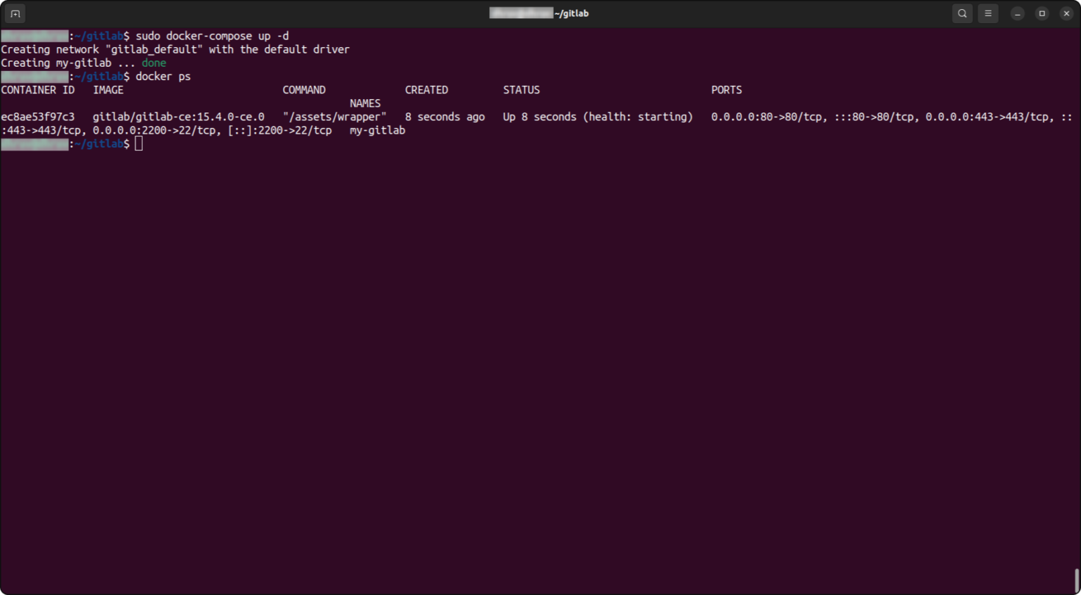 How to Setup Self Managed GitLab with Docker on Local Server:
