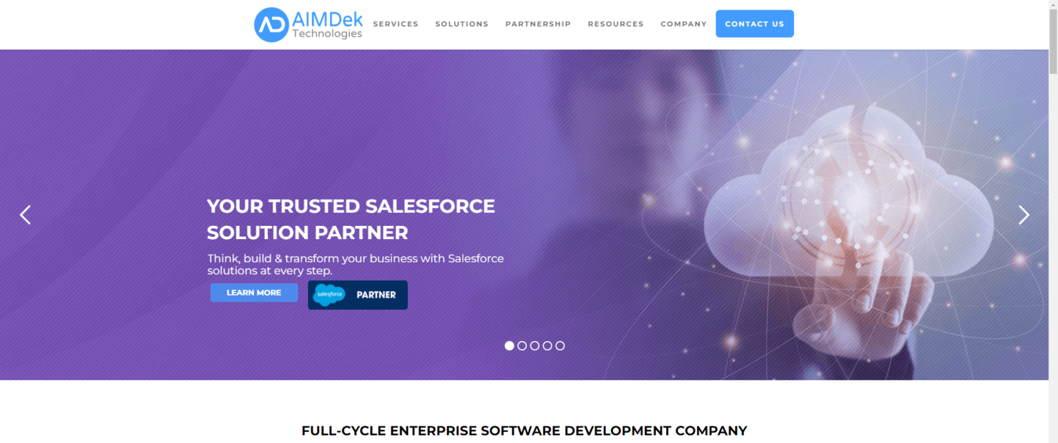 Top 10+ Software Development Company in USA in 2025