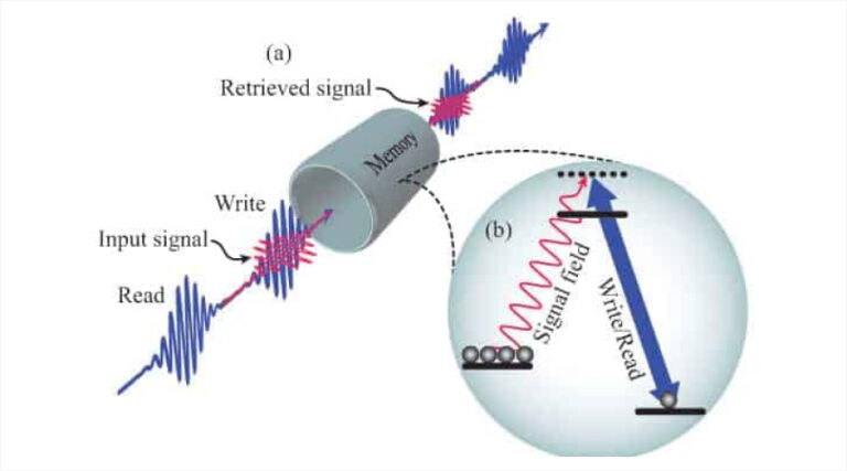 Exploring Quantum Networks: Meaning, Types and Uses