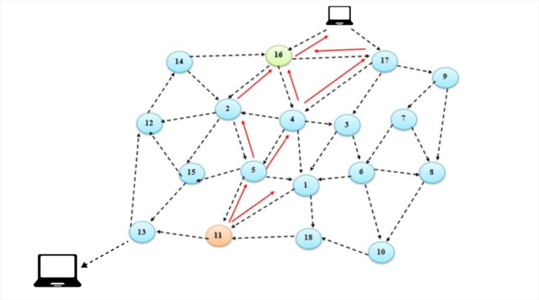 Exploring Quantum Networks: Meaning, Types and Uses